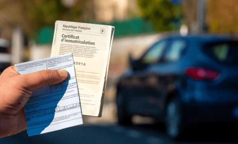 What Does a Car Registration Look Like?